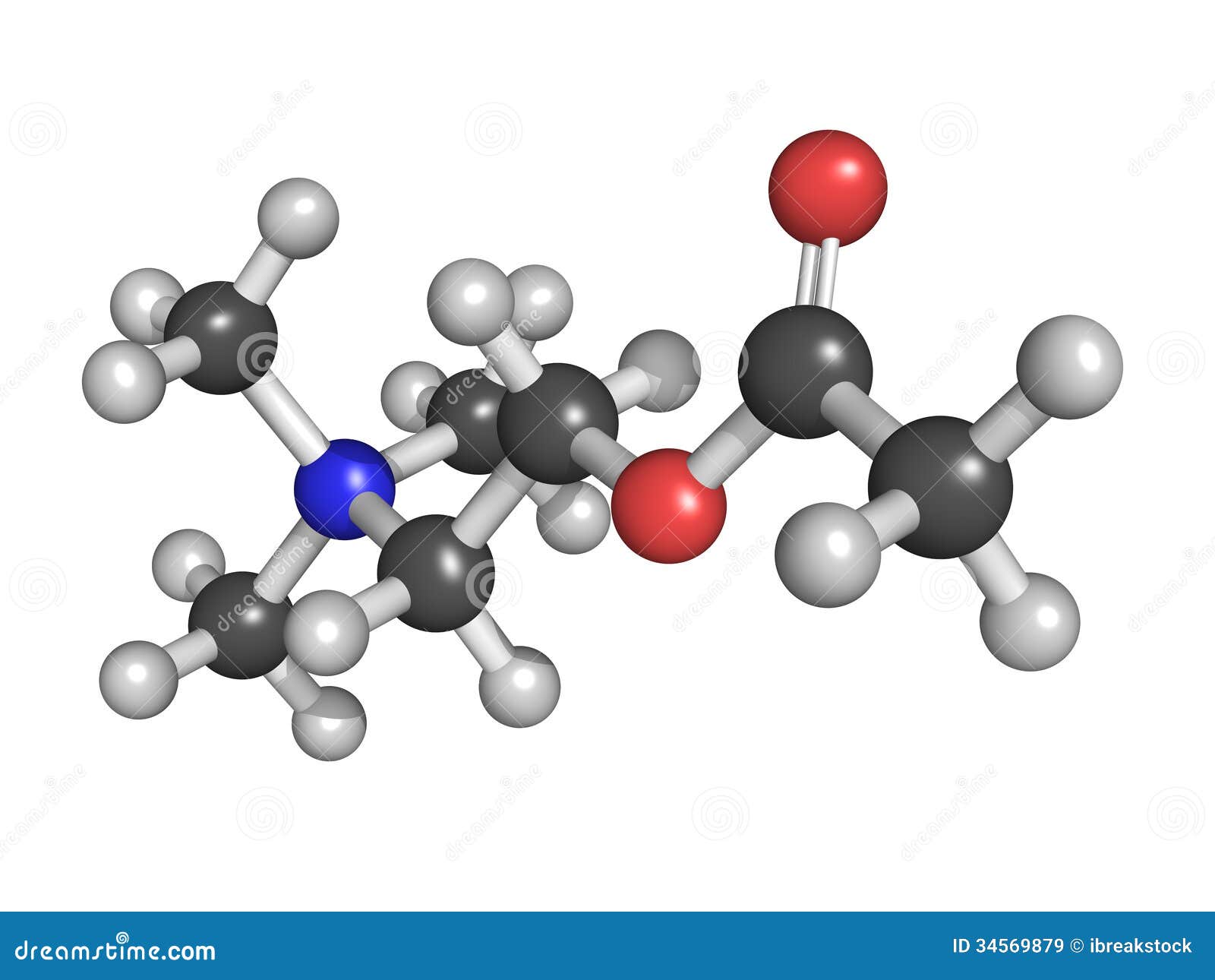 Neurotransmisor De La Acetilcolina (ACh), Modelo Molecular Imágenes de ...