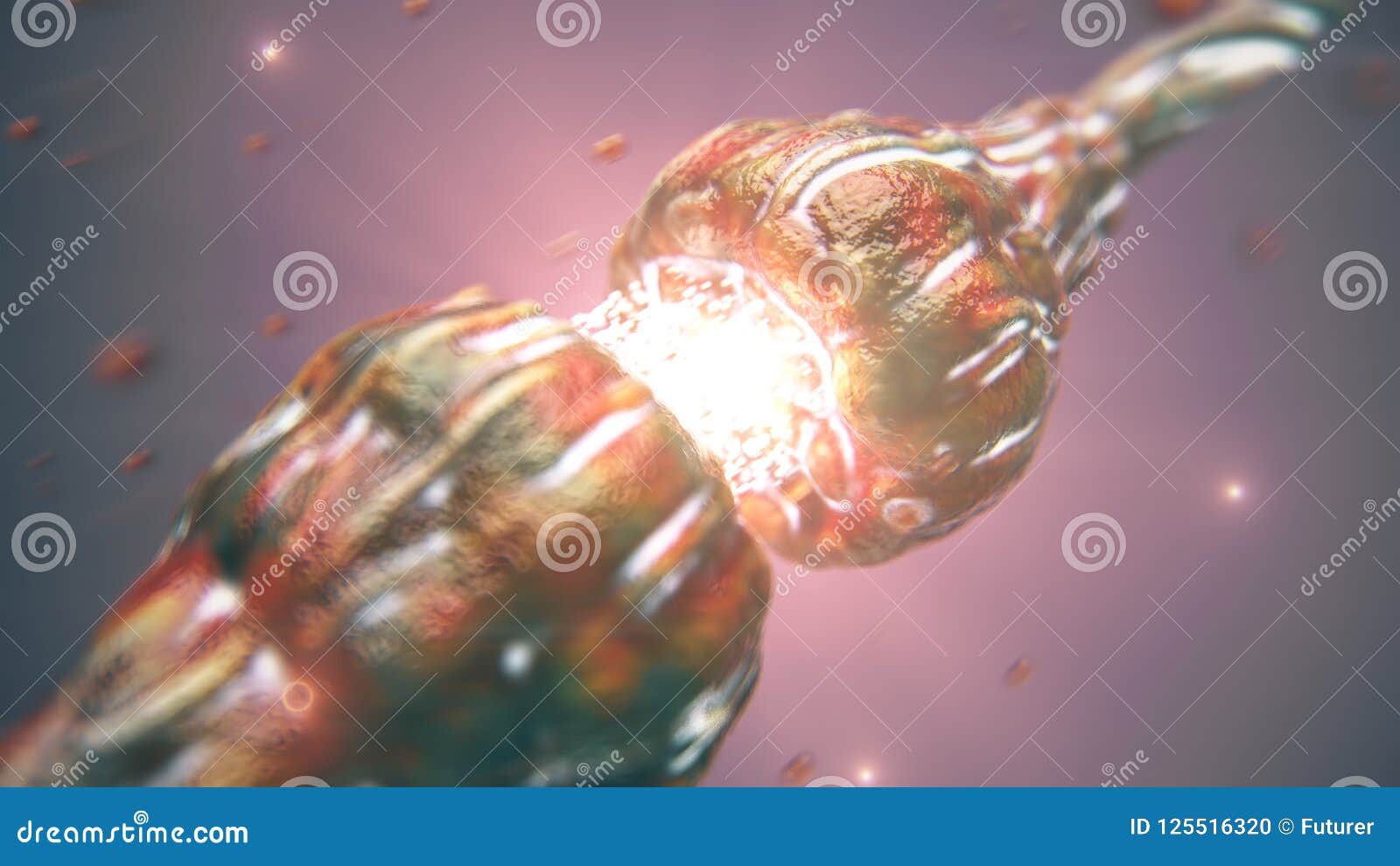 Neurotransmission in the Synapse - 3D Rendering Stock Illustration ...
