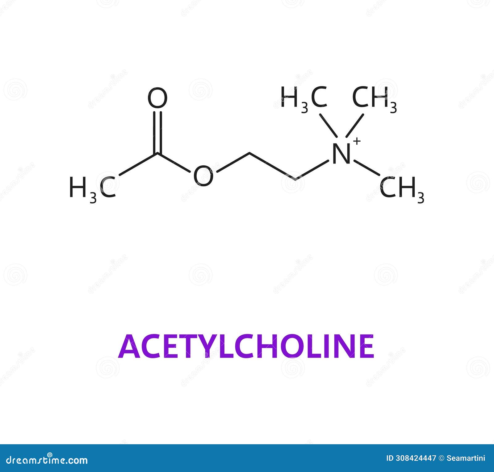 Neurotransmitter Acetylcholine Chemical Formula Stock Vector ...