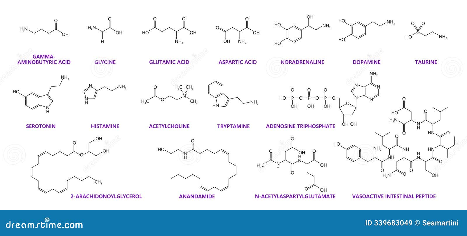 Neurotransmitter Chemical Formulas and Structures Stock Vector ... Neurotransmitter Chemical Formulas and Structures Stock Vector ...