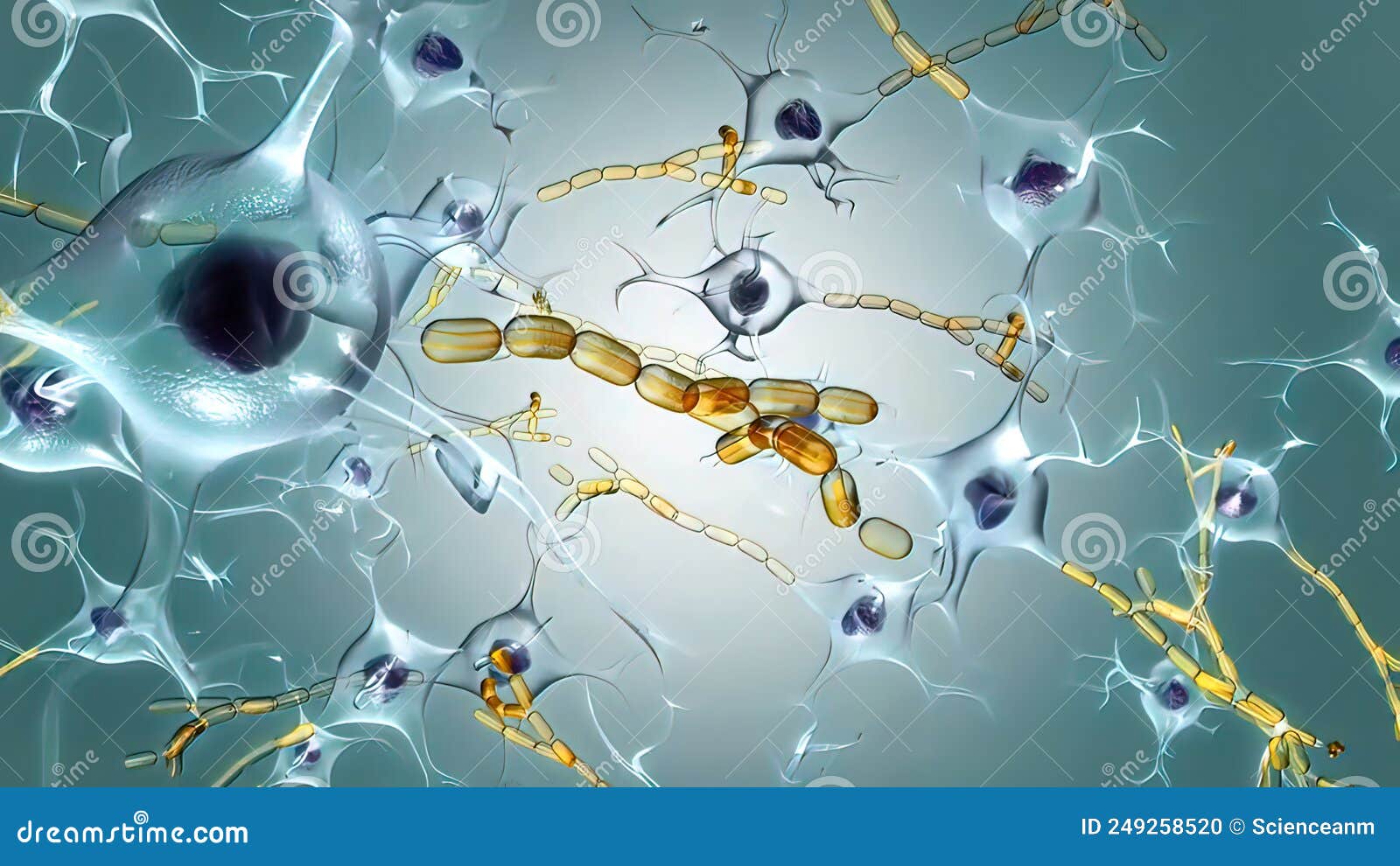 Neurotransmitter, a Chemical Substance that is Released at the Nerve ...