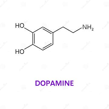 Neurotransmitter Dopamine Chemical Formula Stock Vector - Illustration ...