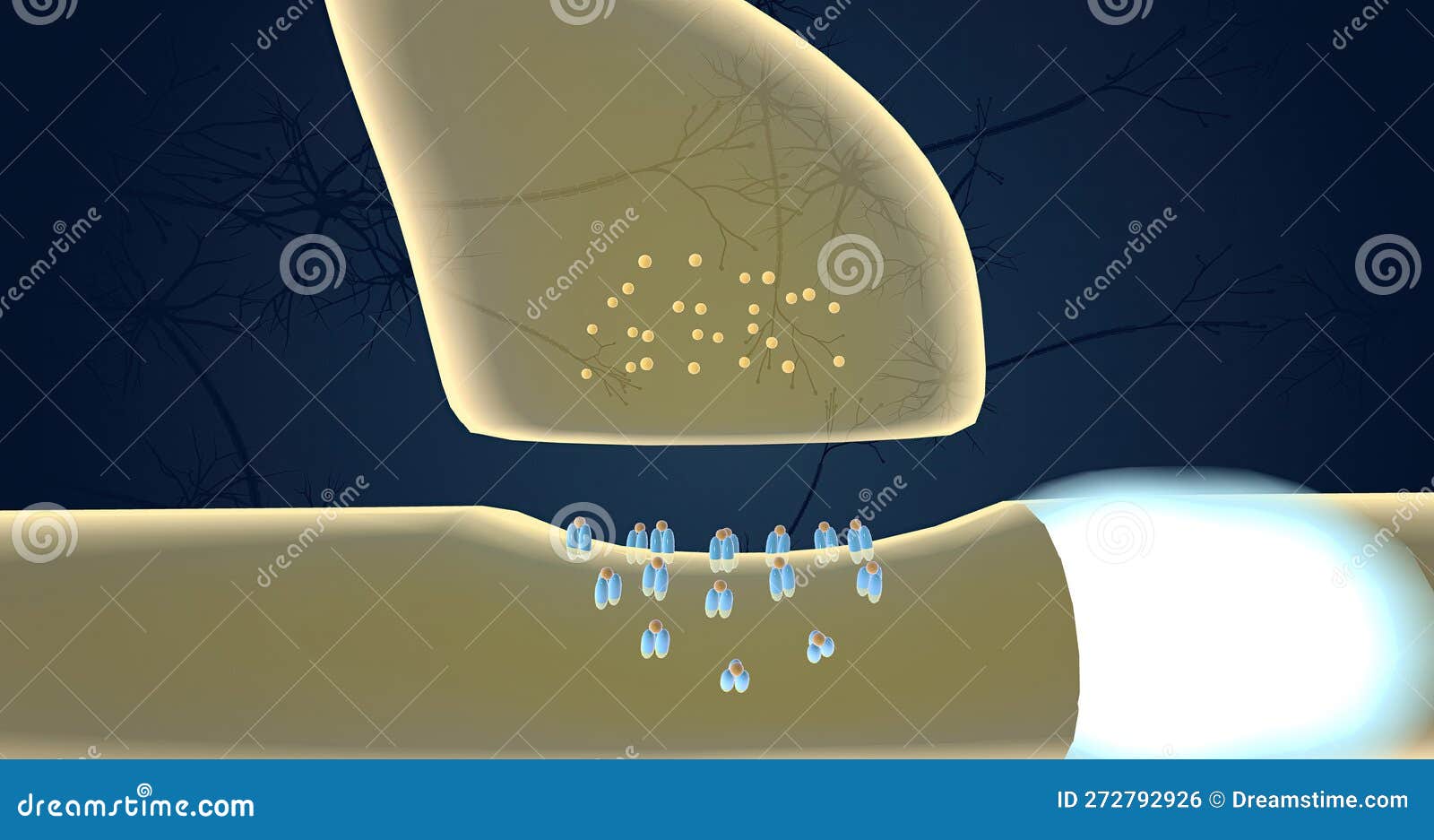 The Neurotransmitter Release in ADHD Stock Illustration - Illustration ...