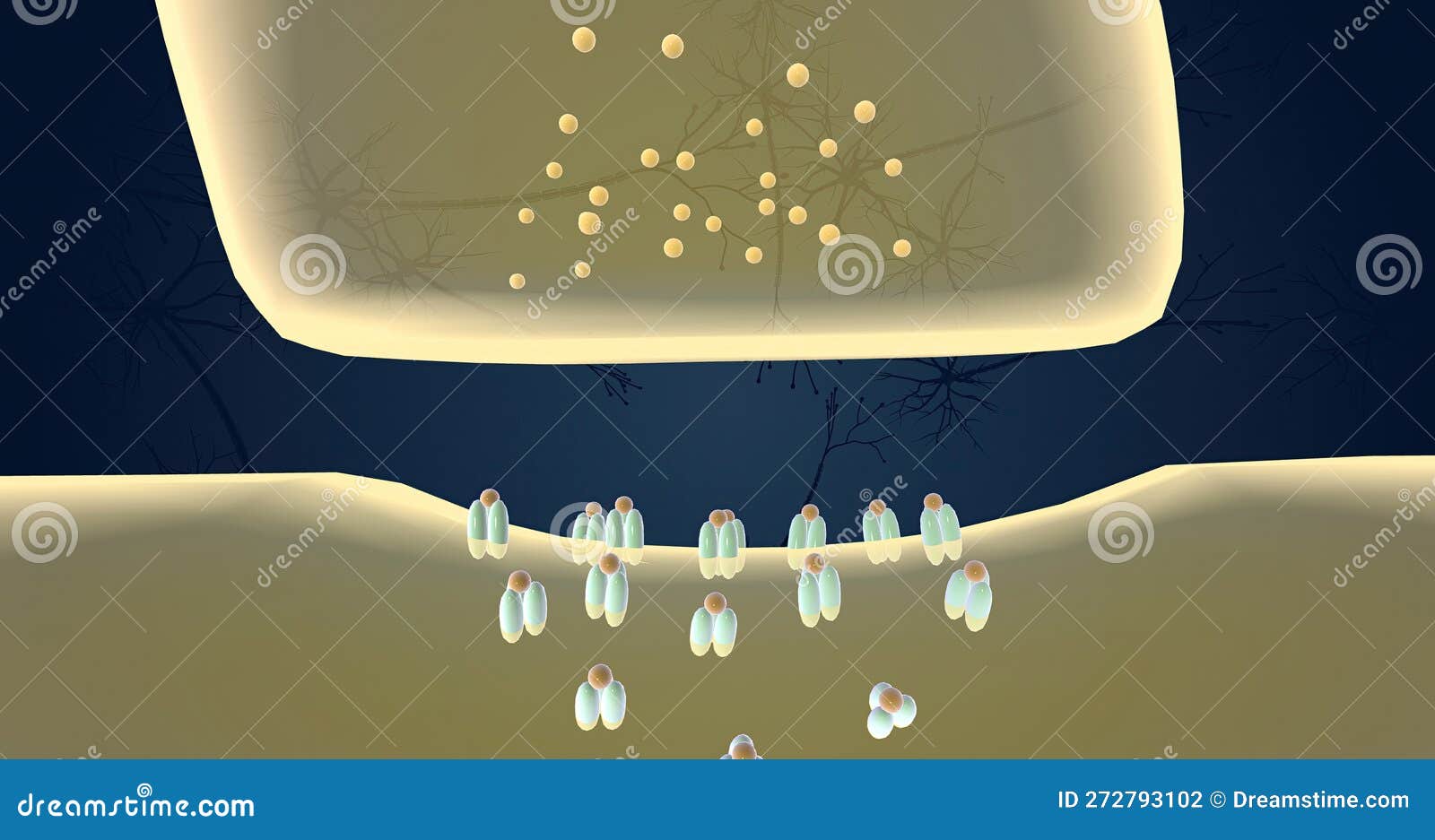 The Neurotransmitter Release in ADHD Stock Illustration - Illustration ...