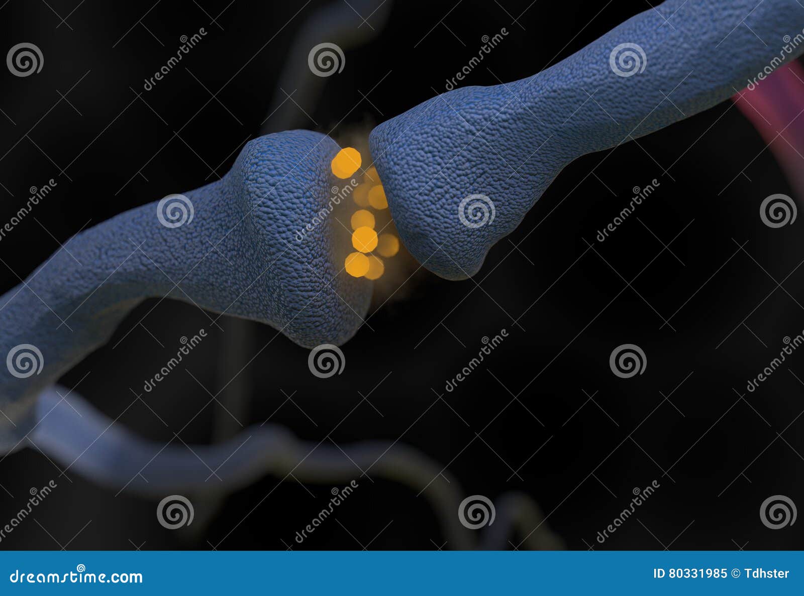 Neurotransmitter Synapse and Neuron Cells Sending Electrical Signals 3d ...