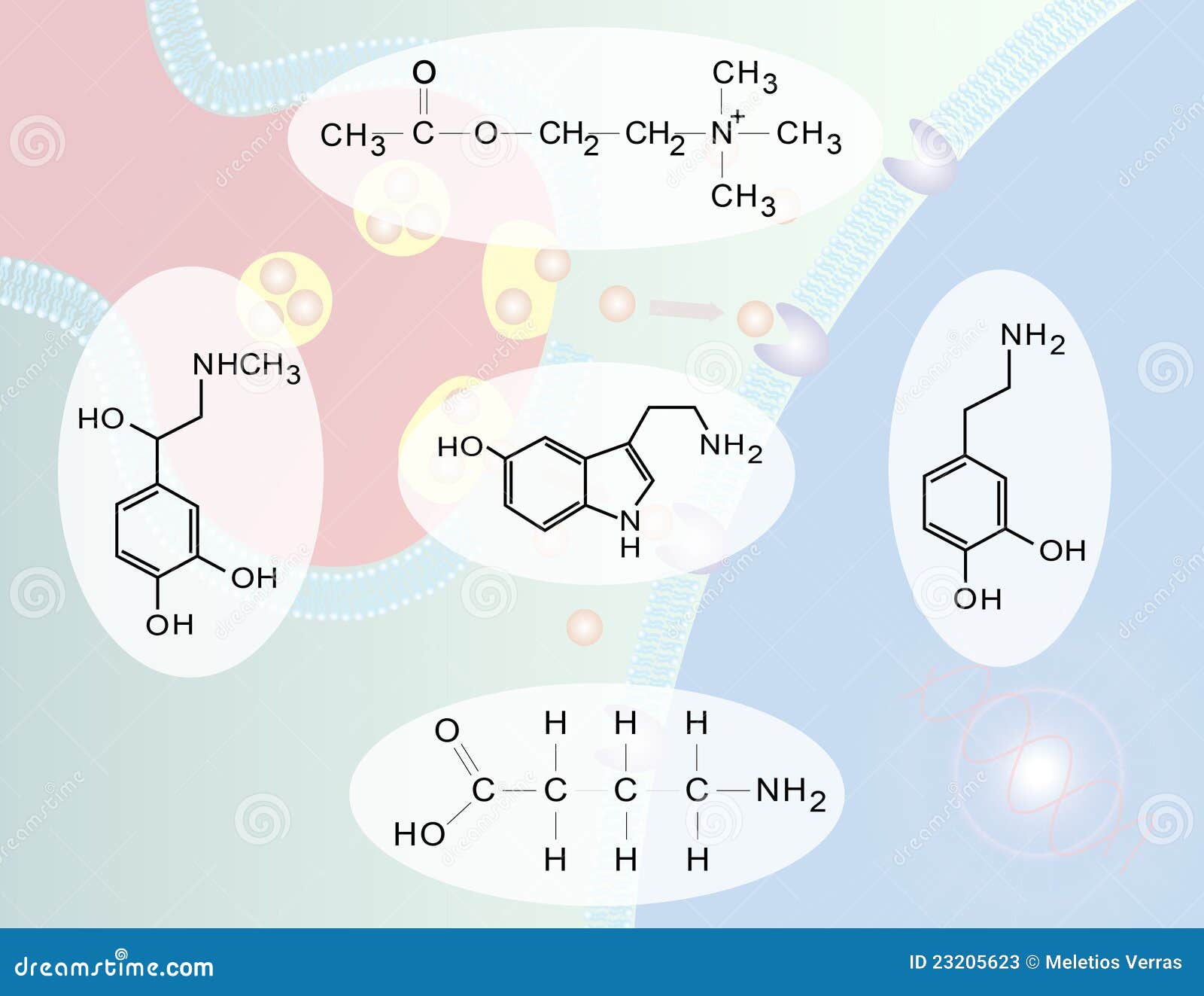 Neurotransmitters Stock Photo | CartoonDealer.com #73449996