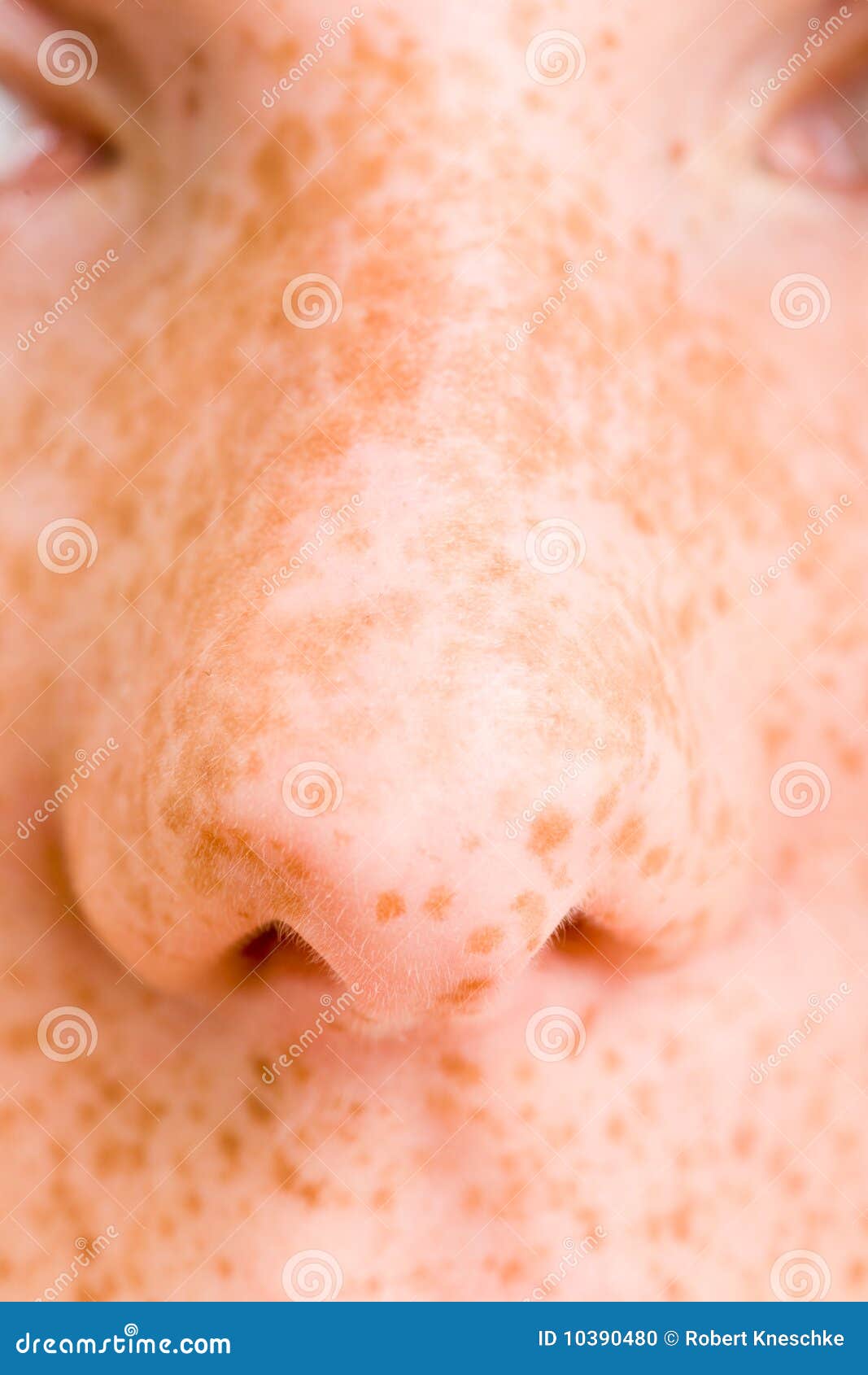 Neus stock foto. Image of één, individualiteit, verticaal - 10390480