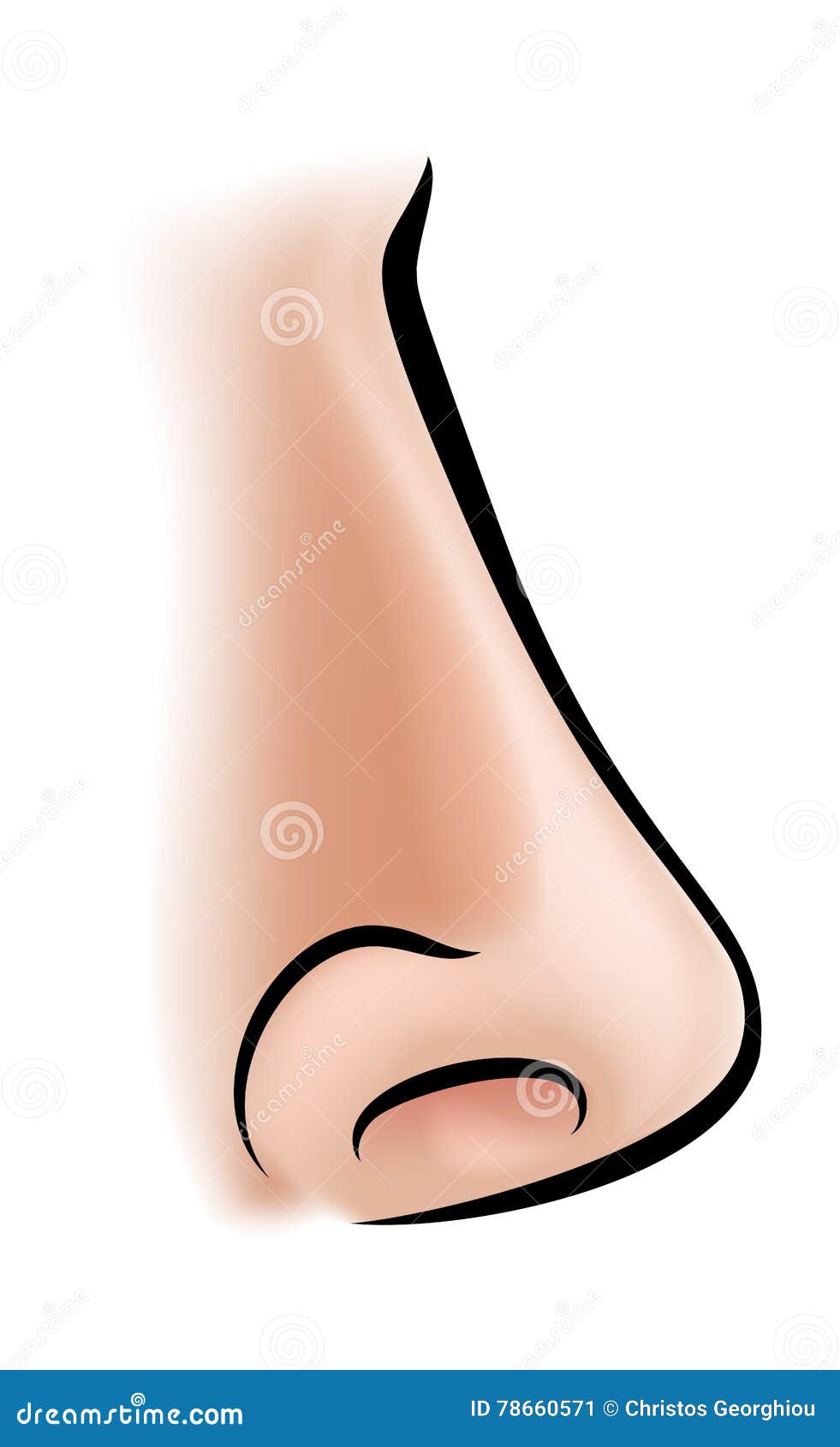 Neus vector illustratie. Illustration of achtergrond - 78660571