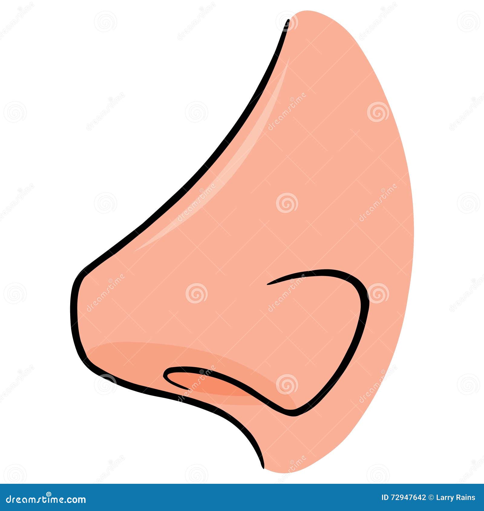 Neus Zijaanzicht vector illustratie. Illustration of schilderij - 72947642