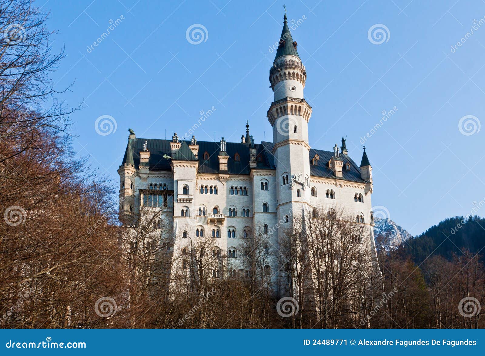 Neuschwanstein Castle Fussen Germany Stock Image - Image of hill, trees ...