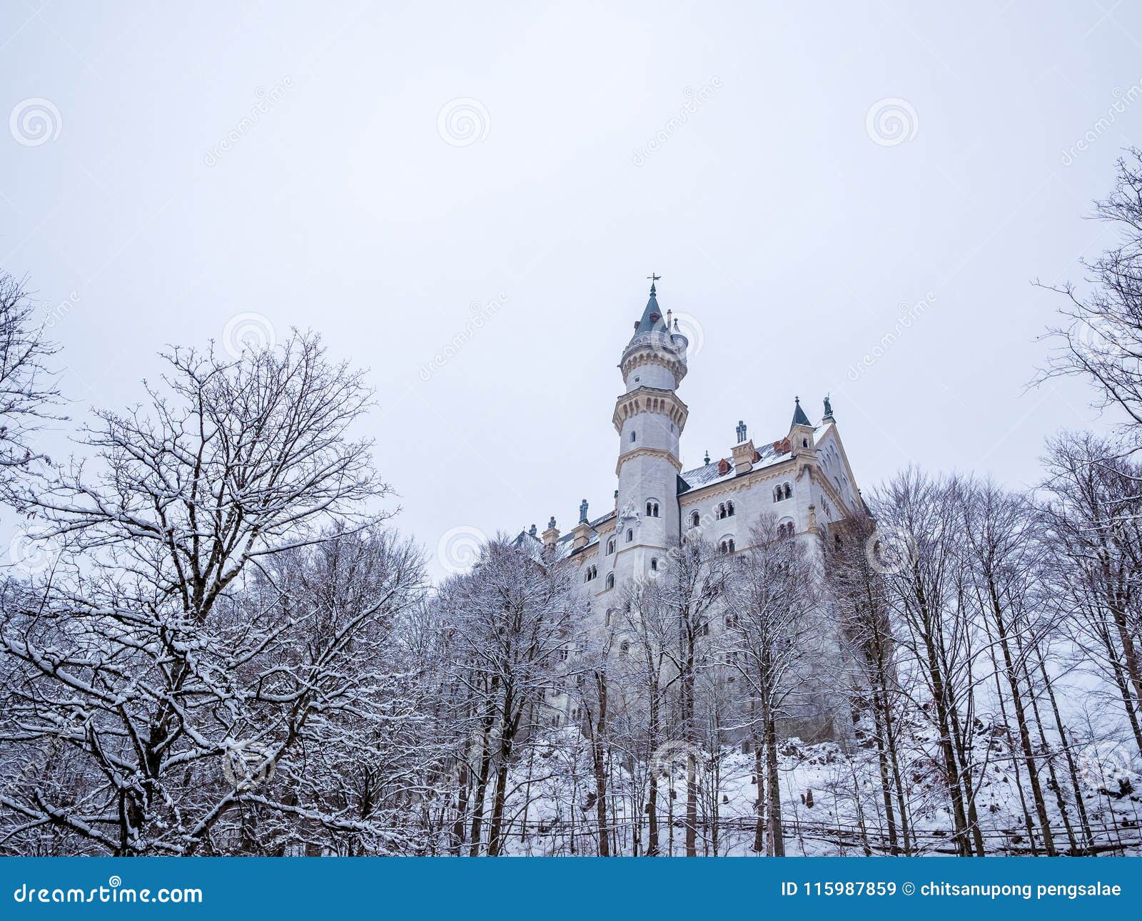 Neuschwanstein Castle in Winter Landscape. Germany Stock Image - Image ...