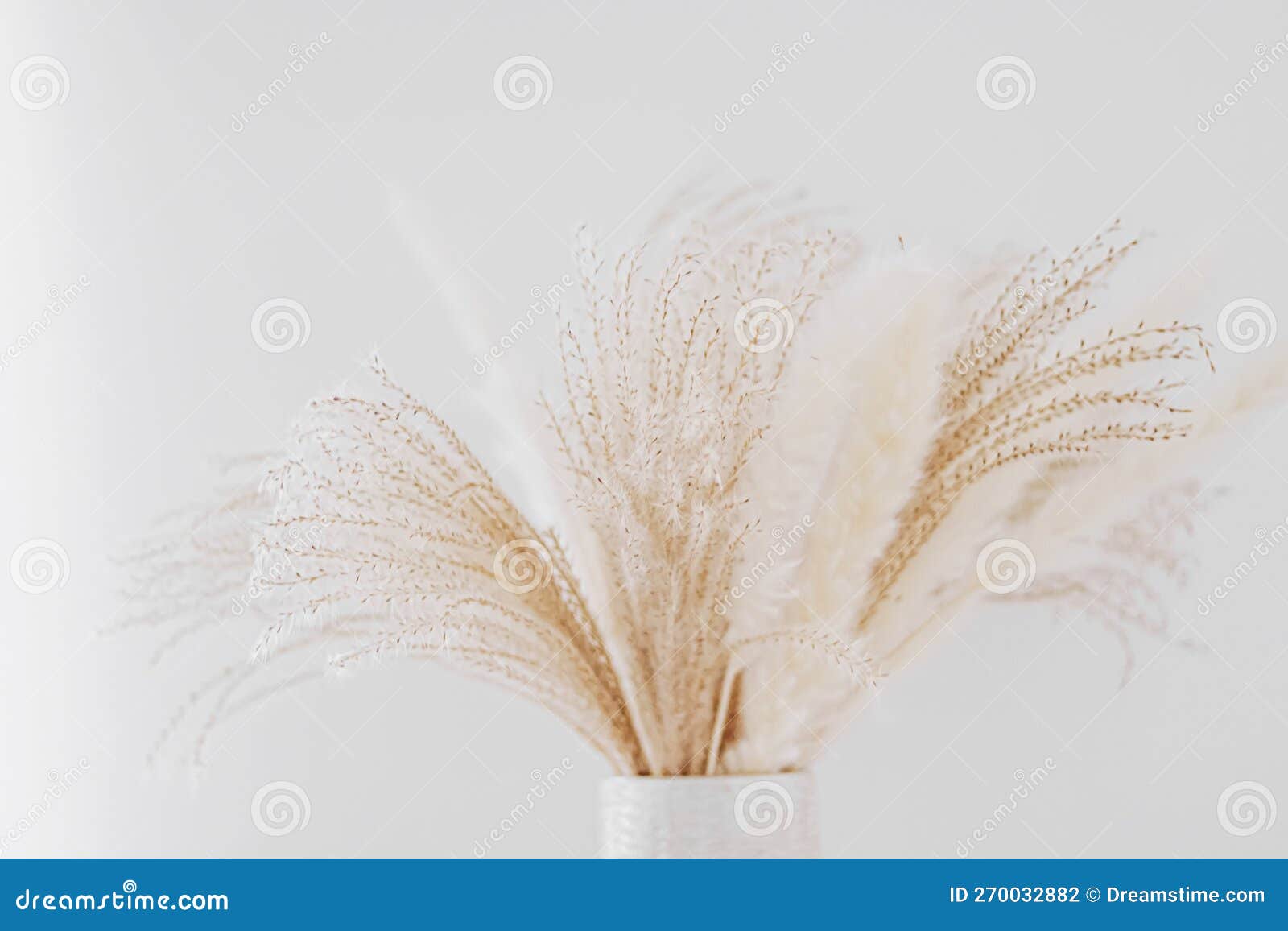Neutral Dry Plants in Vase and Wall with Copyspace, Home Decor and ...