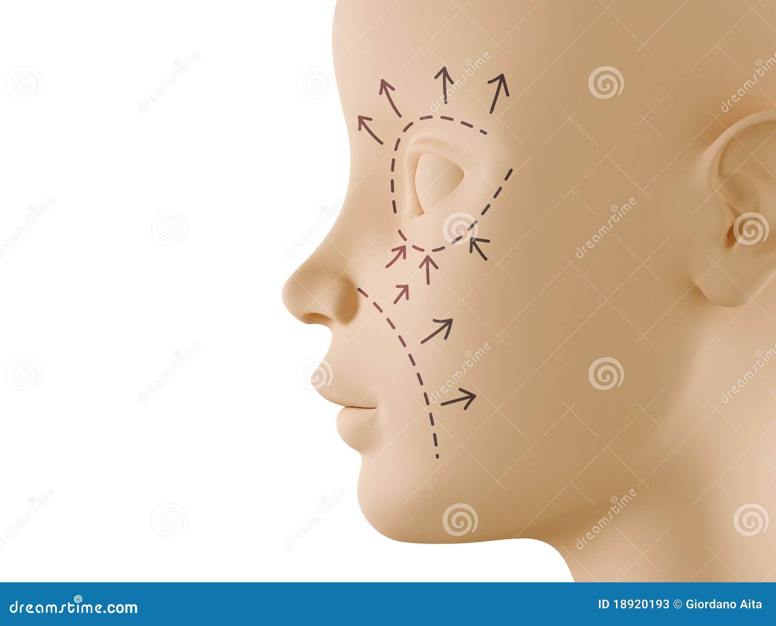 Neutral Face Profile With Aesthetic Surgery Sign Royalty-Free Stock ...