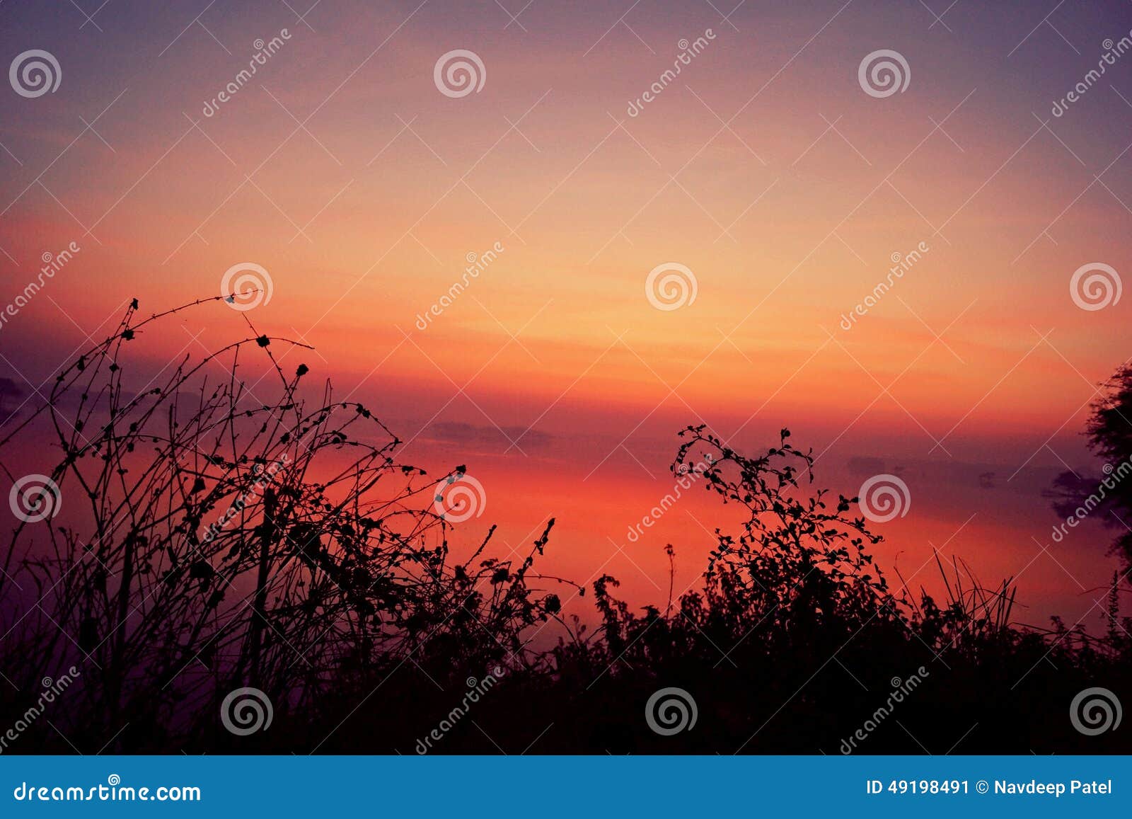 Neutral stock image. Image of lake, neutral, colortone - 49198491