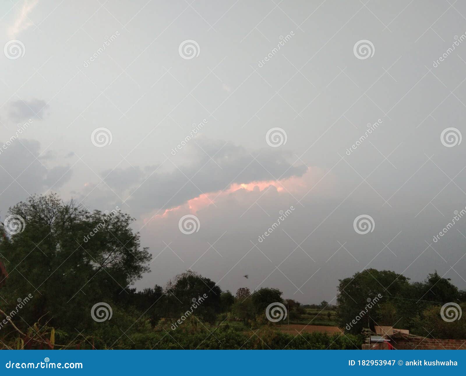 This is Neutral Night Seen.it a Very Beautiful Image Stock Image ...