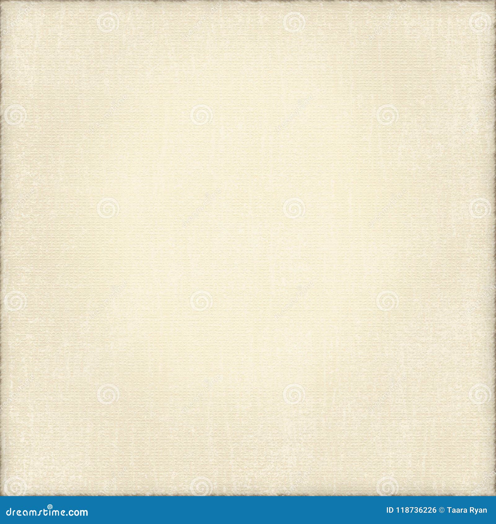 Neutral Tan Cream Background Rustic Beachside Wedding More Stock Photo ...