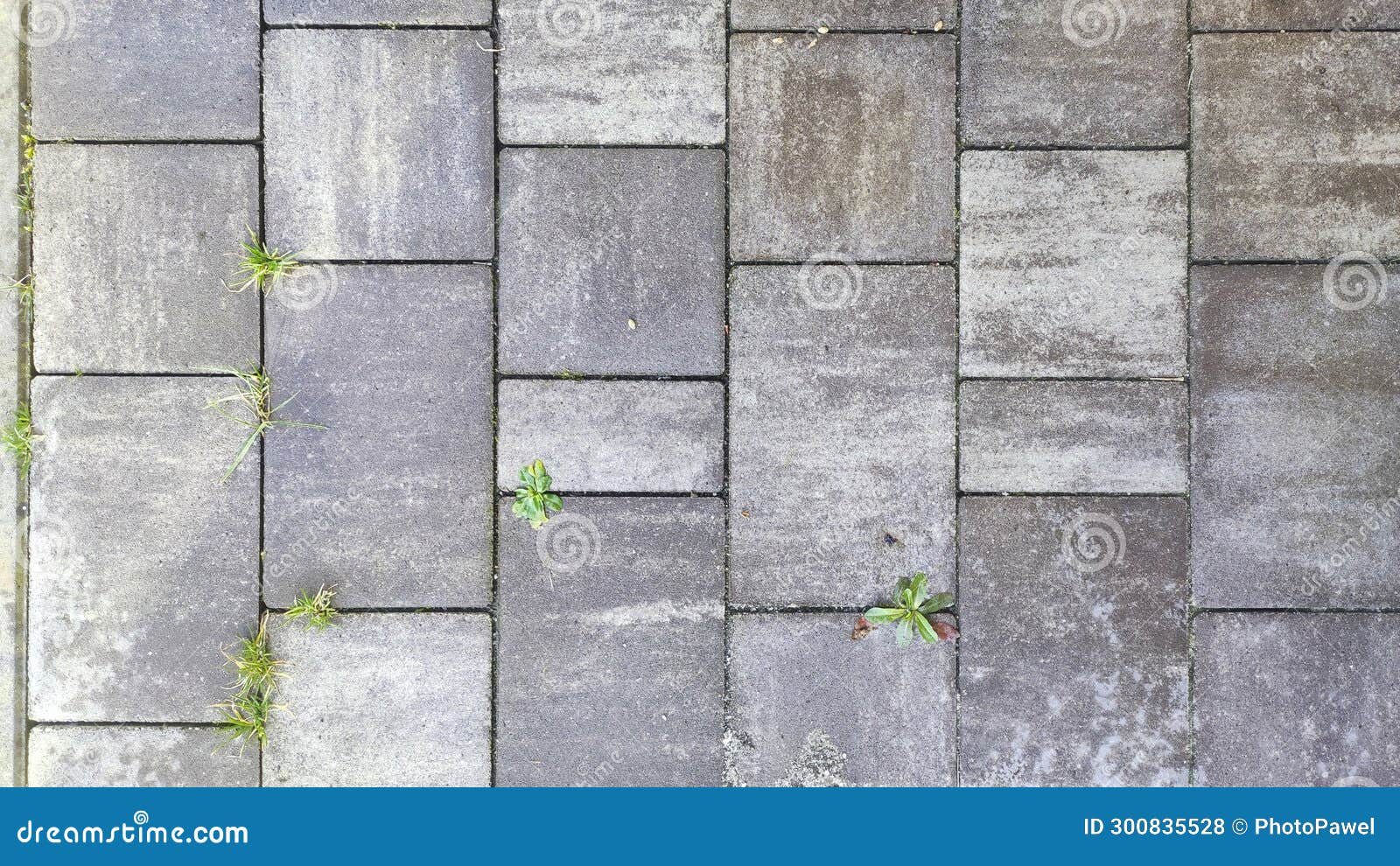 Neutral-toned Stone Paving Surface of a Road with Cemented Bricks ...