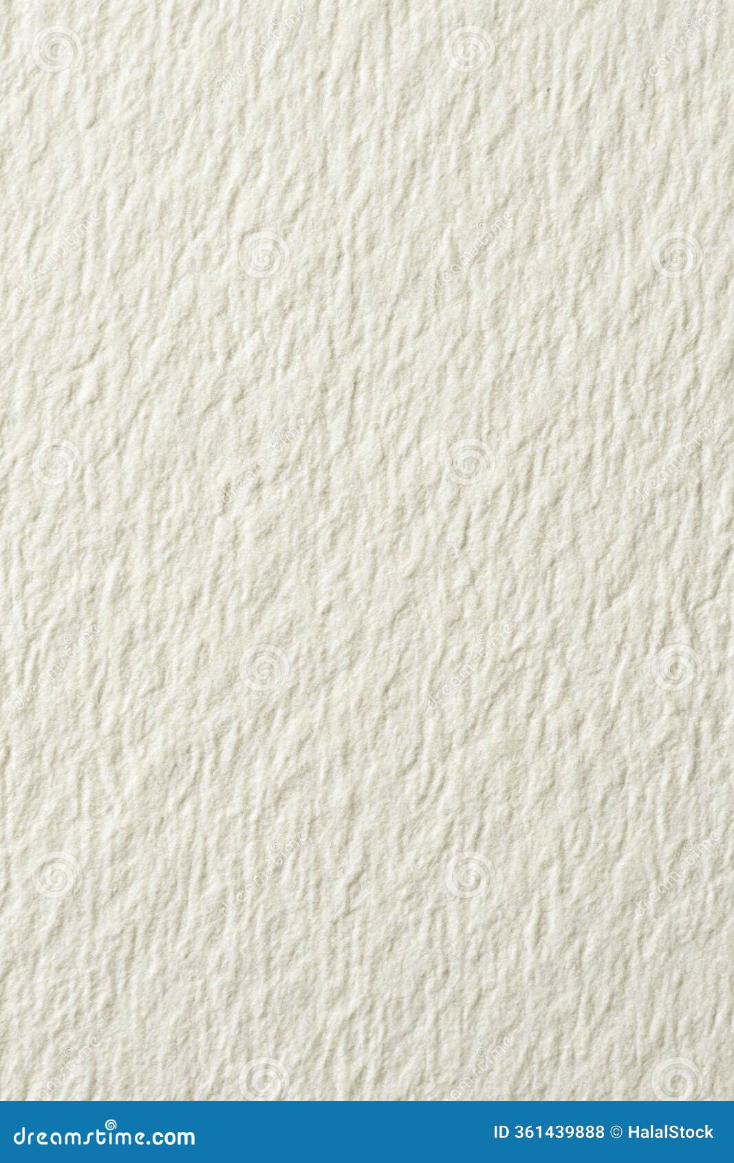 Neutral White Arabesque Texture Cartoon Vector | CartoonDealer.com ...