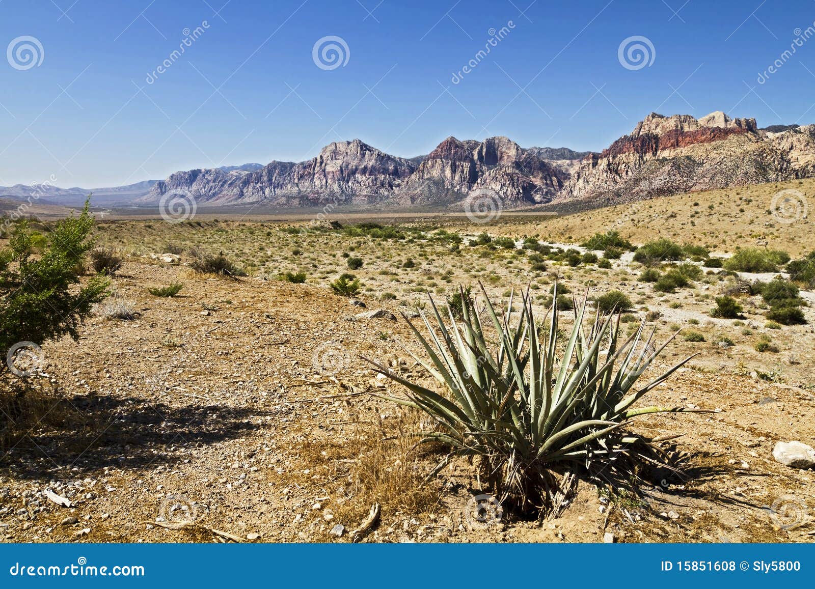 Nevada desert stock photo. Image of desertic, travel - 15851608
