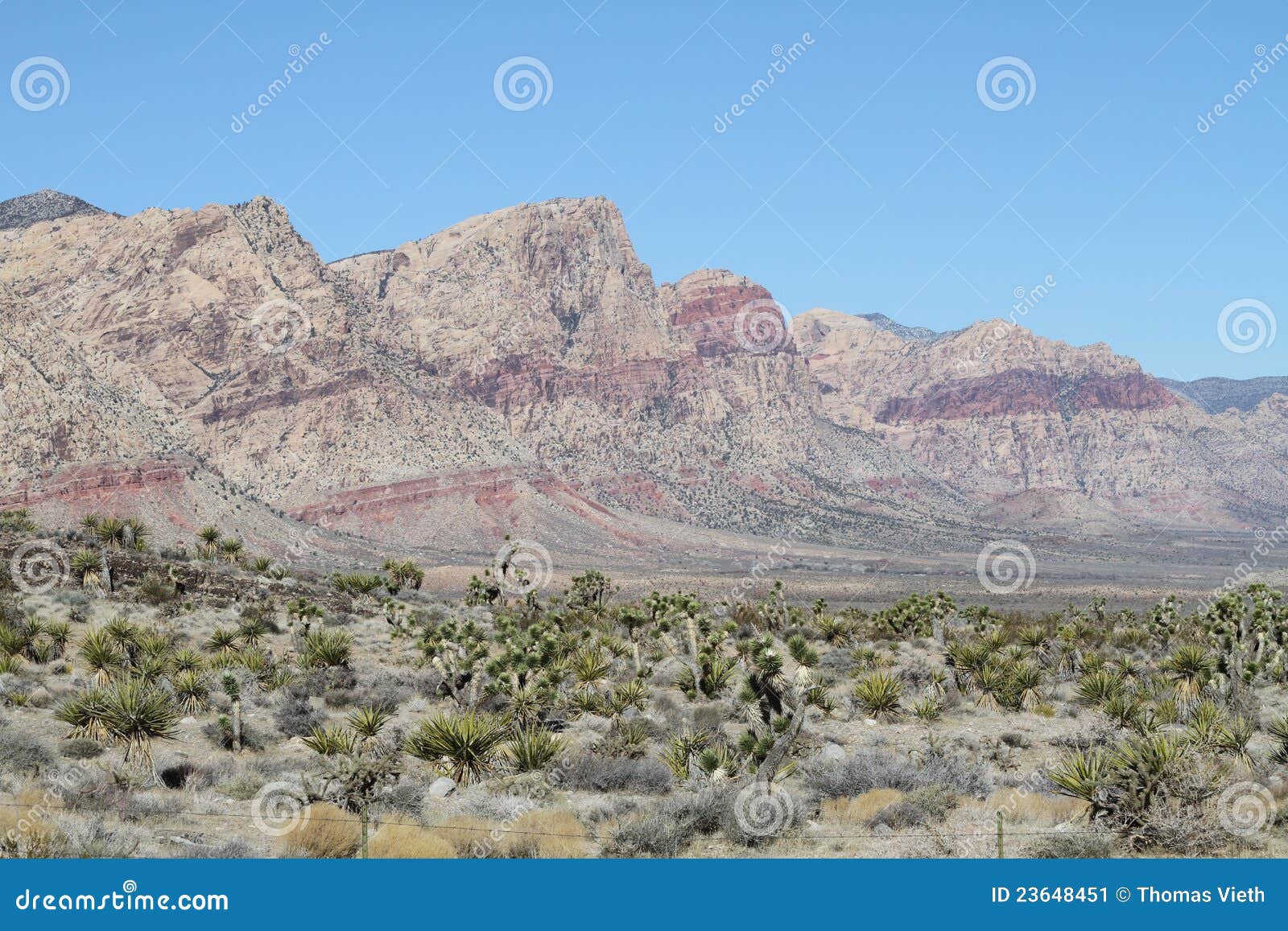 USA, Nevada: Desert Mountains with Yucca Trees Stock Image - Image of ...