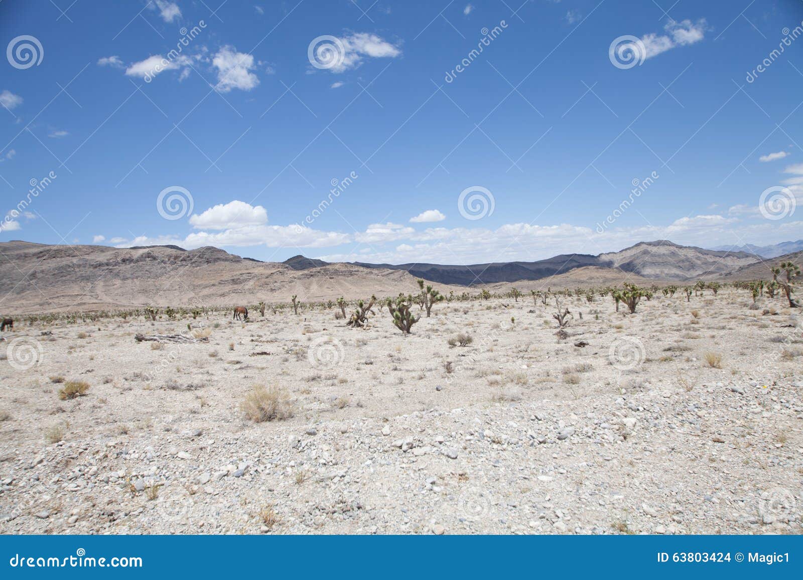 Nevada Desert with Mountains Stock Photo - Image of wild, desert: 63803424