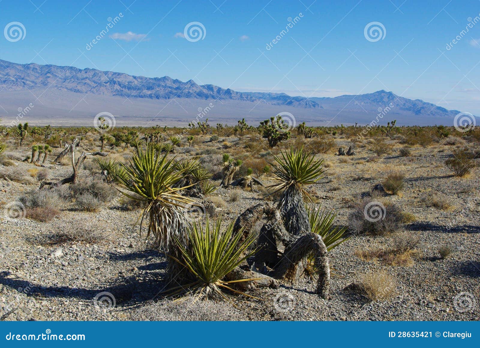 Nevada Desert Near Las Vegas Stock Image - Image of landscape, nature ...