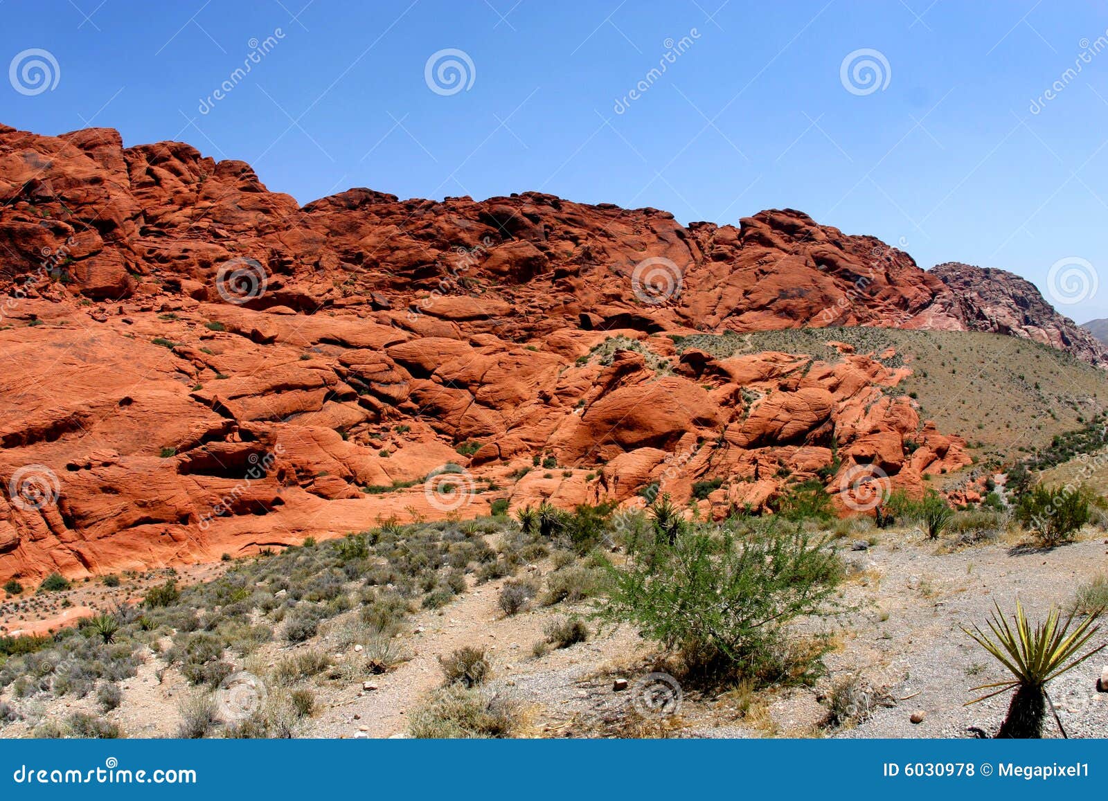 Nevada desert scenic stock photo. Image of nevada, rocky - 6030978