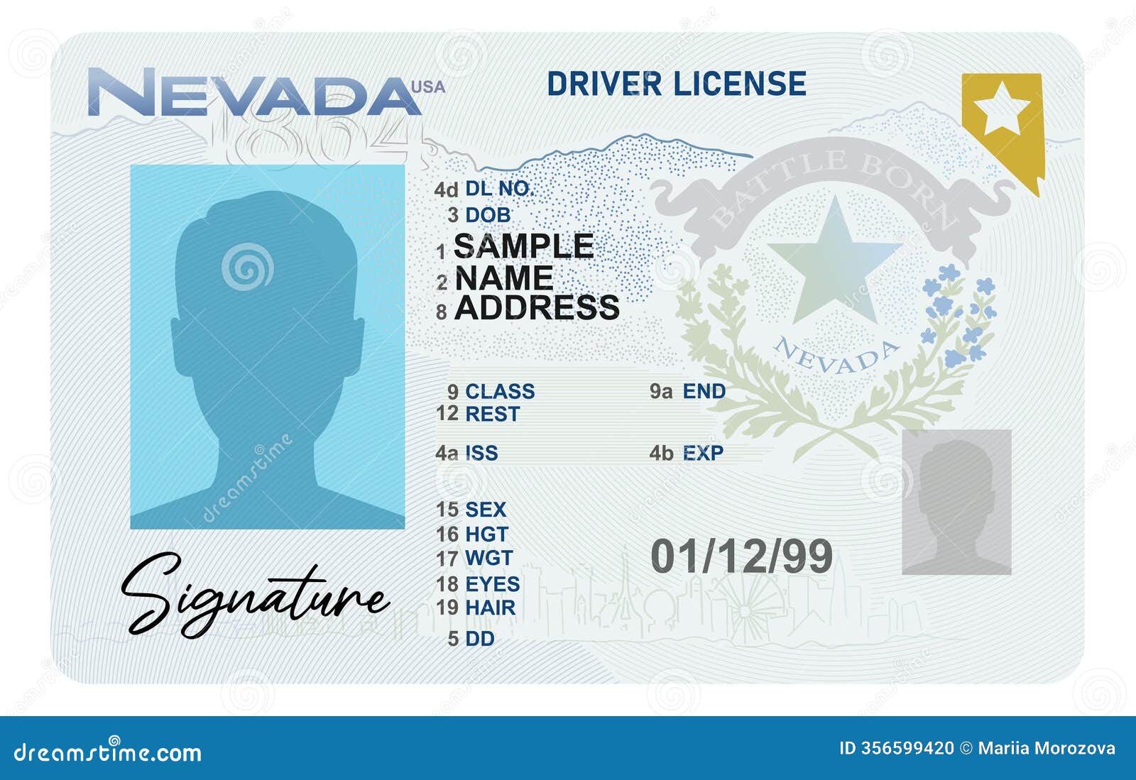 Nevada Map. State And District Map Of Nevada. Political Map Of Nevada ...