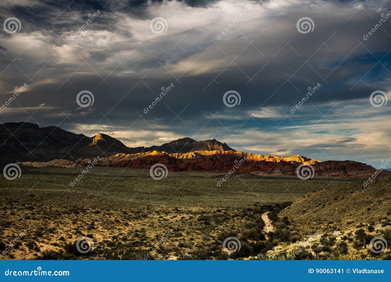 Nevada Mountains, USA stock image. Image of nature, cactisi - 90063141