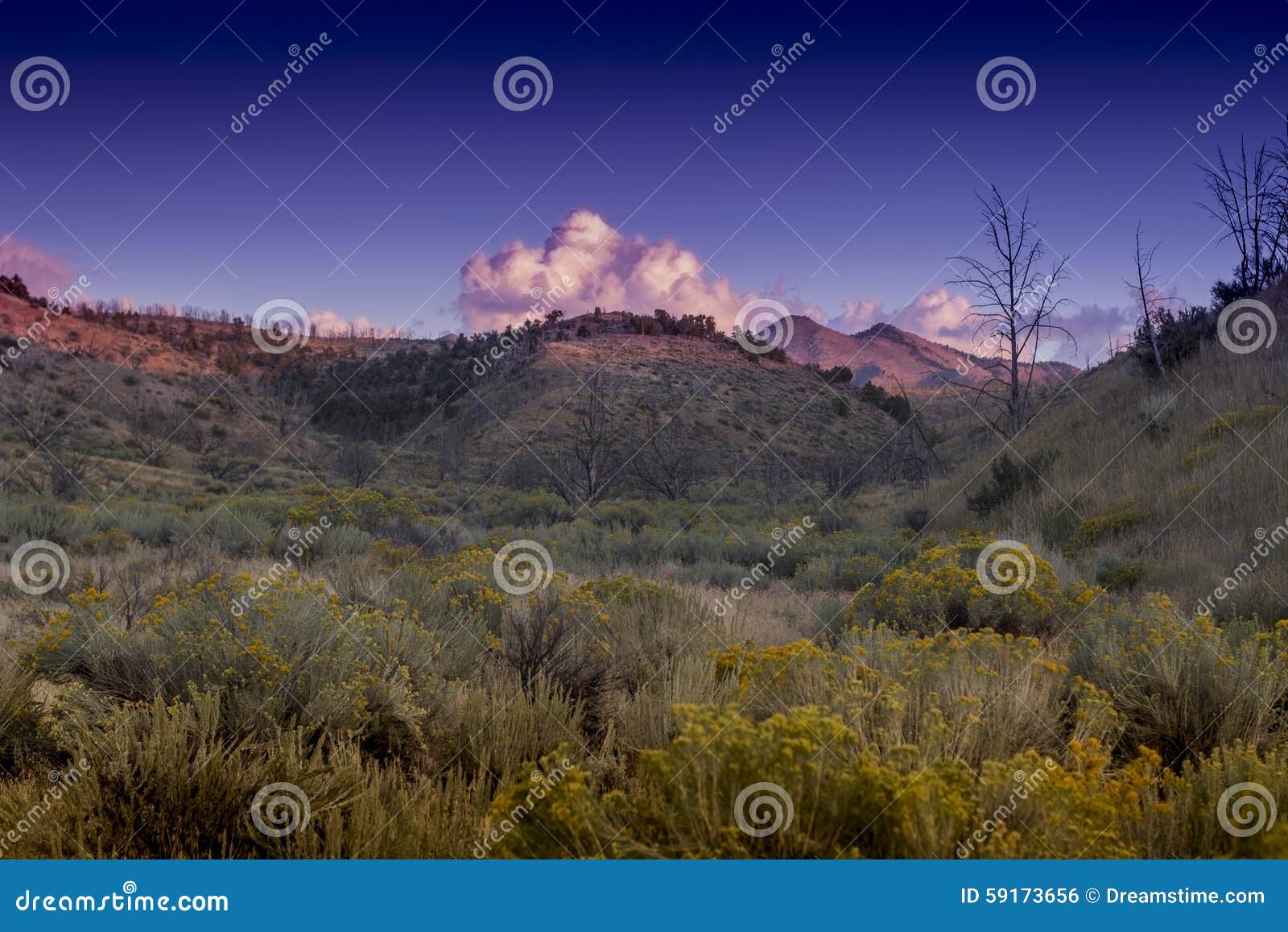 Nevada Scenery Mountains Desert Sunset Stock Photo - Image of valley ...