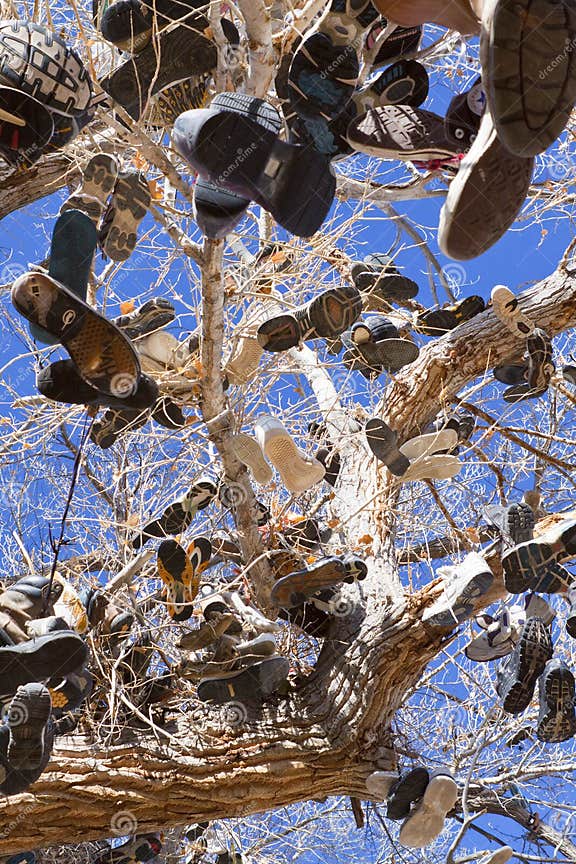 Nevada Shoe Tree editorial photography. Image of attraction - 24303782