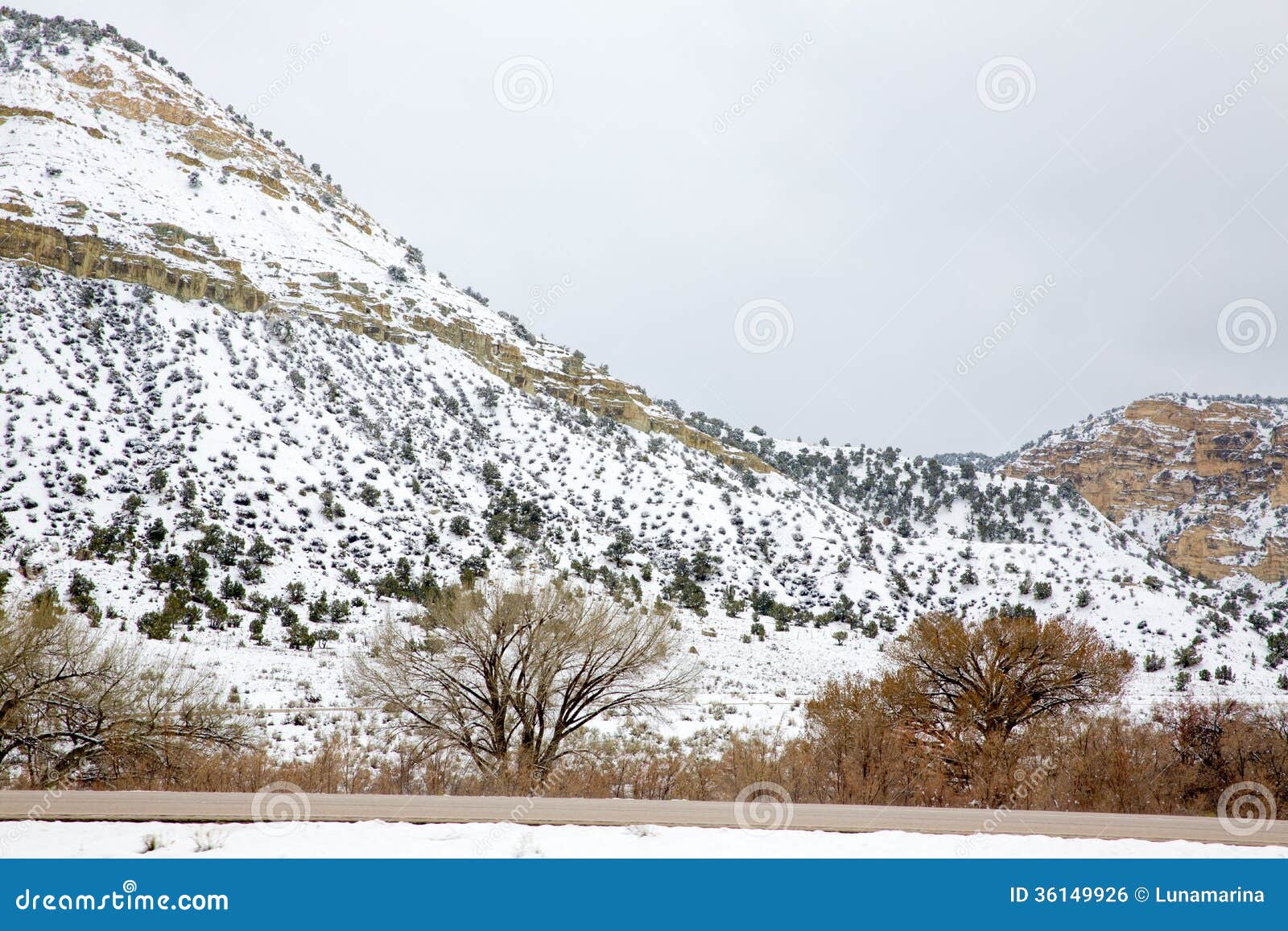 Nevada USA Spring Snow in the Mountains Stock Photo - Image of frost ...