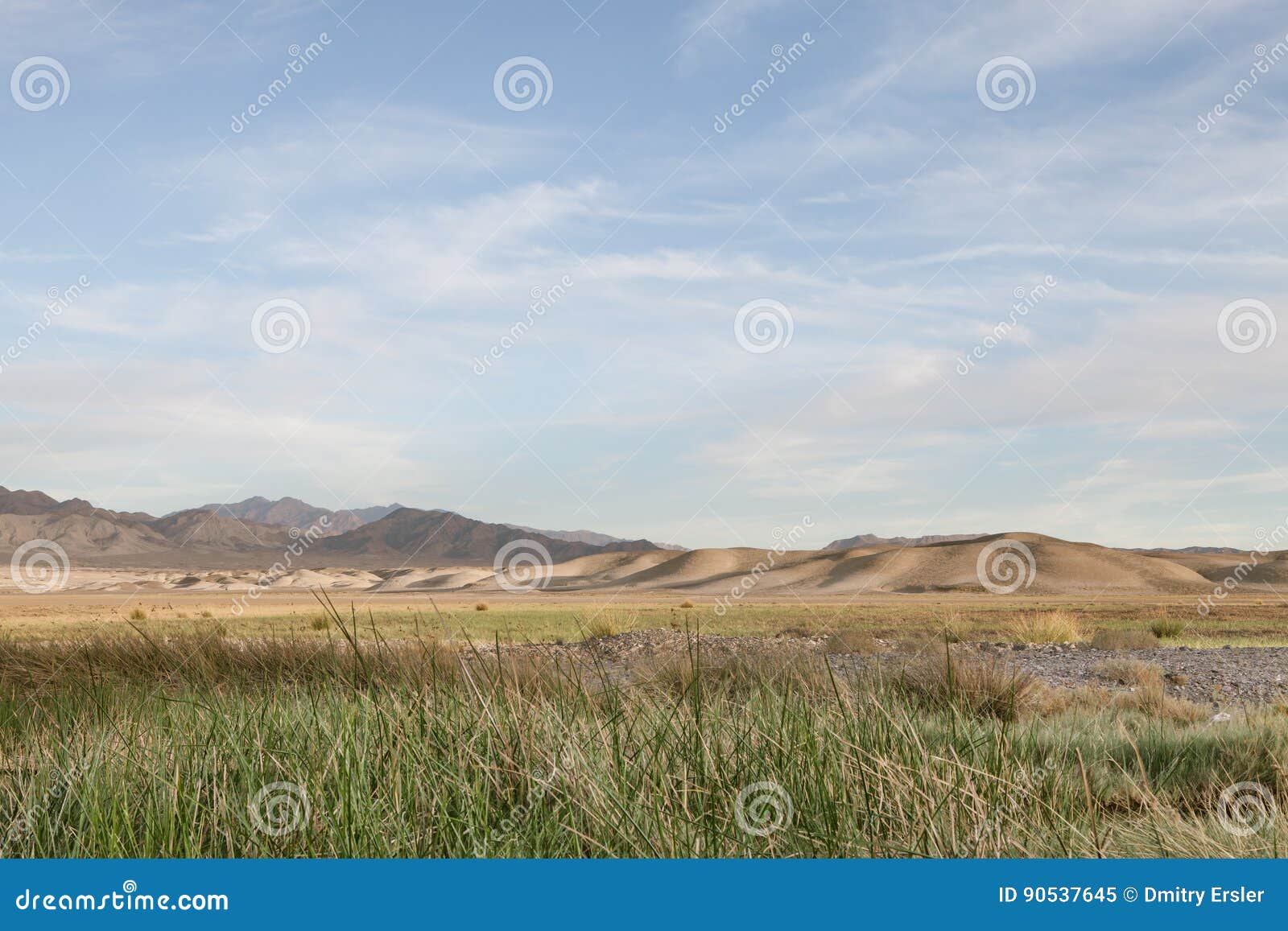 Nevada stock image. Image of desert, mohave, travel, sunny - 90537645