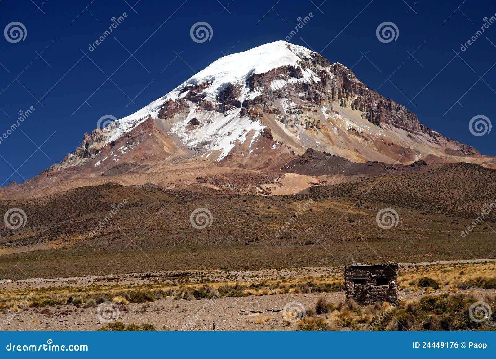 Nevado Sajama fotografia stock. Immagine di distante - 24449176