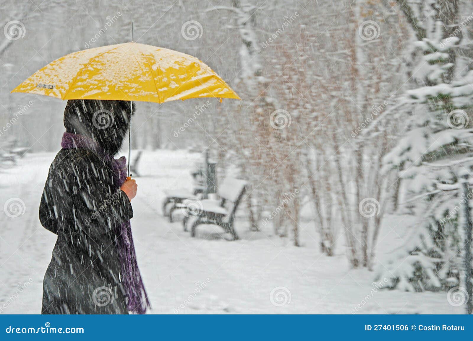 Nevar foto de stock. Imagem de meteorologista, branco - 27401506