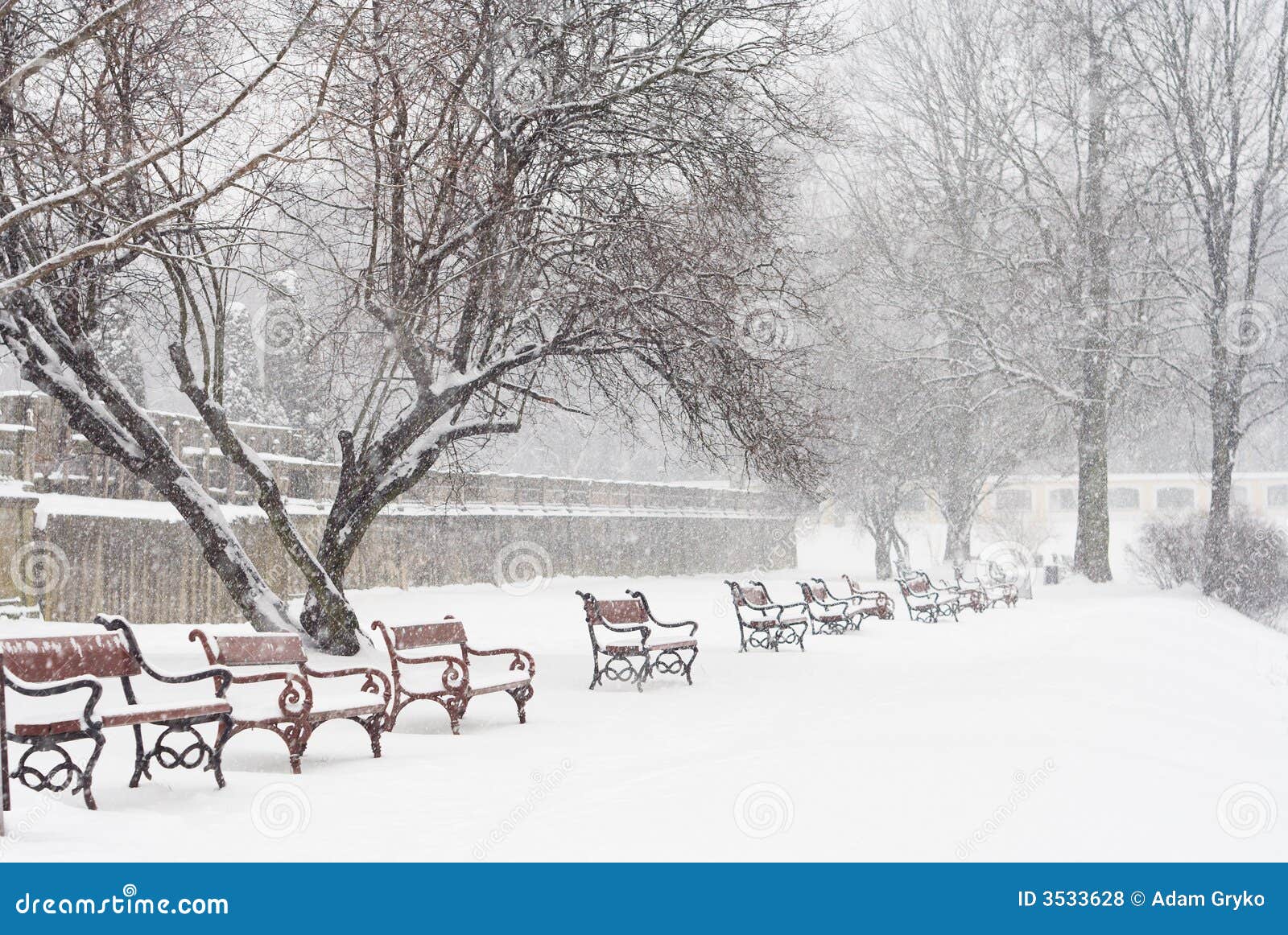 Nevar foto de stock. Imagem de gelado, sazonal, calmo - 3533628
