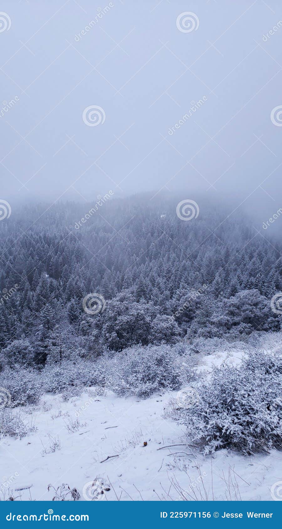 Nevasca na serra nevada foto de stock. Imagem de nave - 225971156