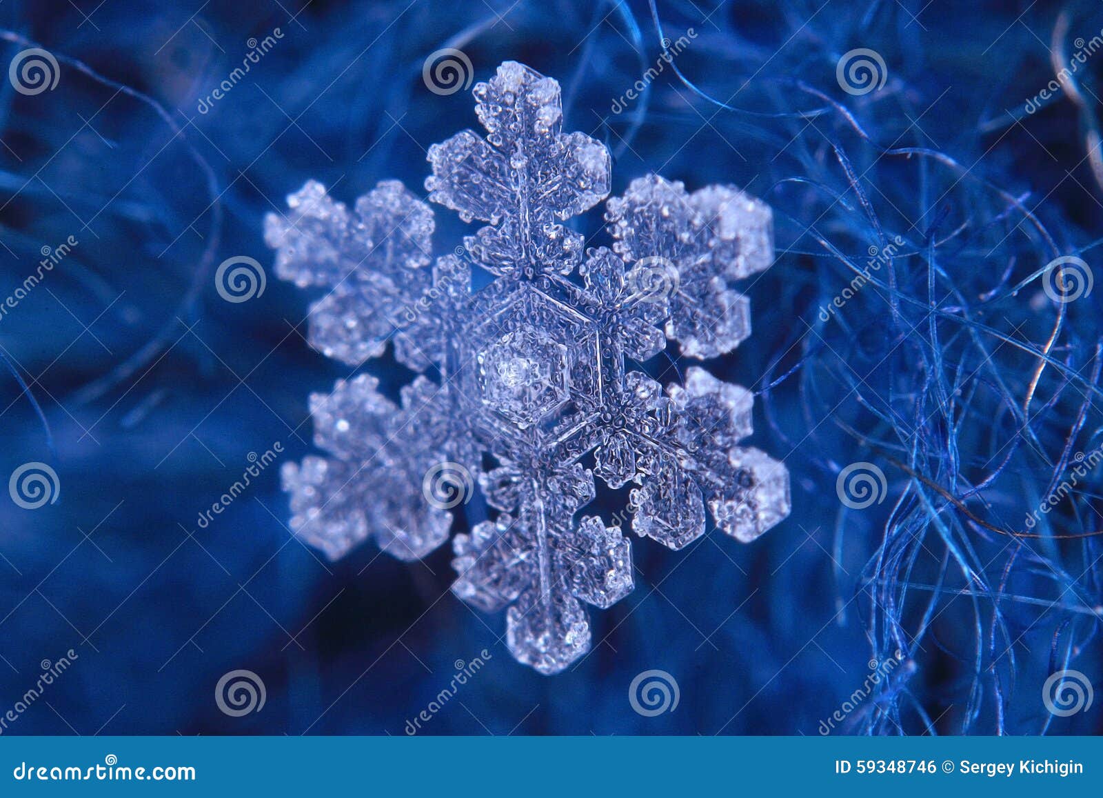 Neve Natural De Cristal Do Floco De Neve Foto de Stock - Imagem: 59348746