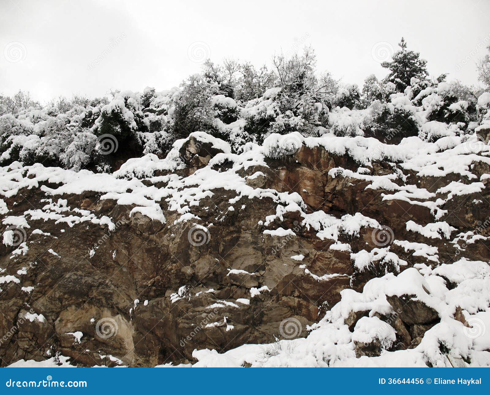 Neve sulle rocce fotografia stock. Immagine di maestoso - 36644456