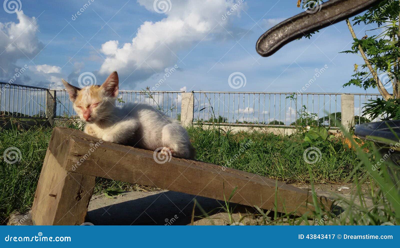 Never alone. editorial photography. Image of never, life - 43843417