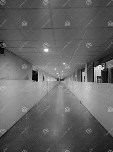 Never ending path stock image. Image of like, leading - 87440877