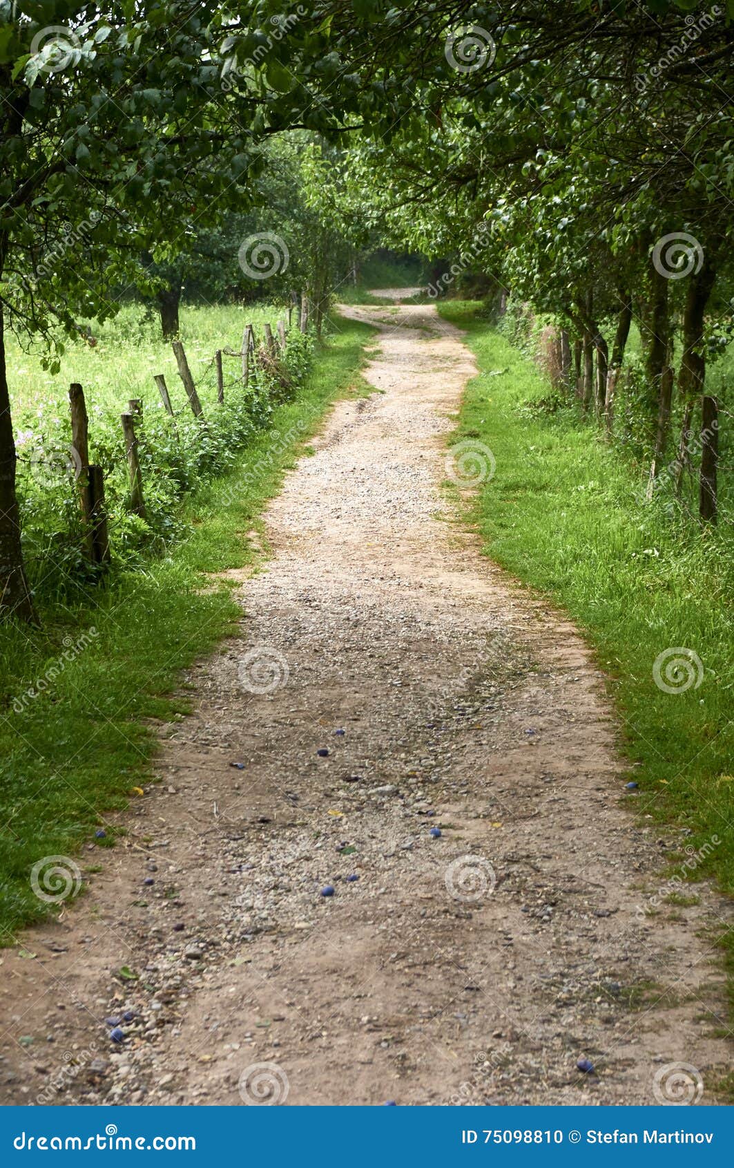 Never ending road stock photo. Image of mindfullness - 75098810