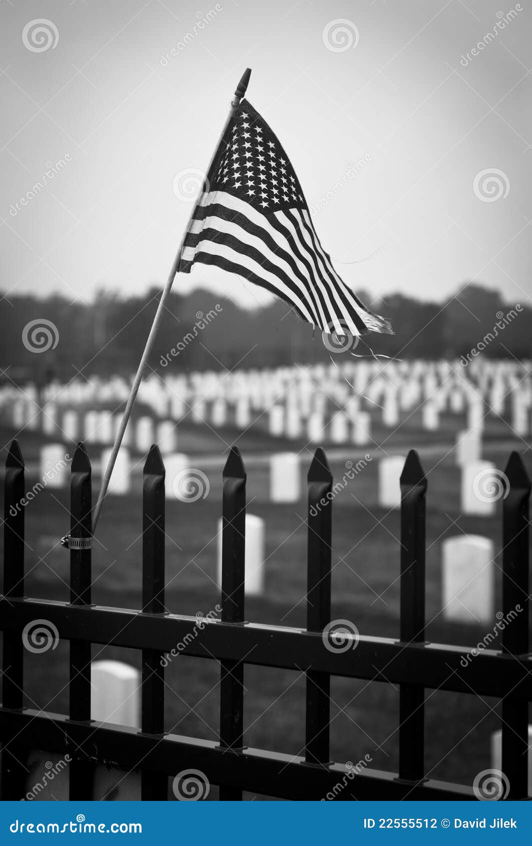 Never Forget stock photo. Image of hope, family, freedom - 22555512