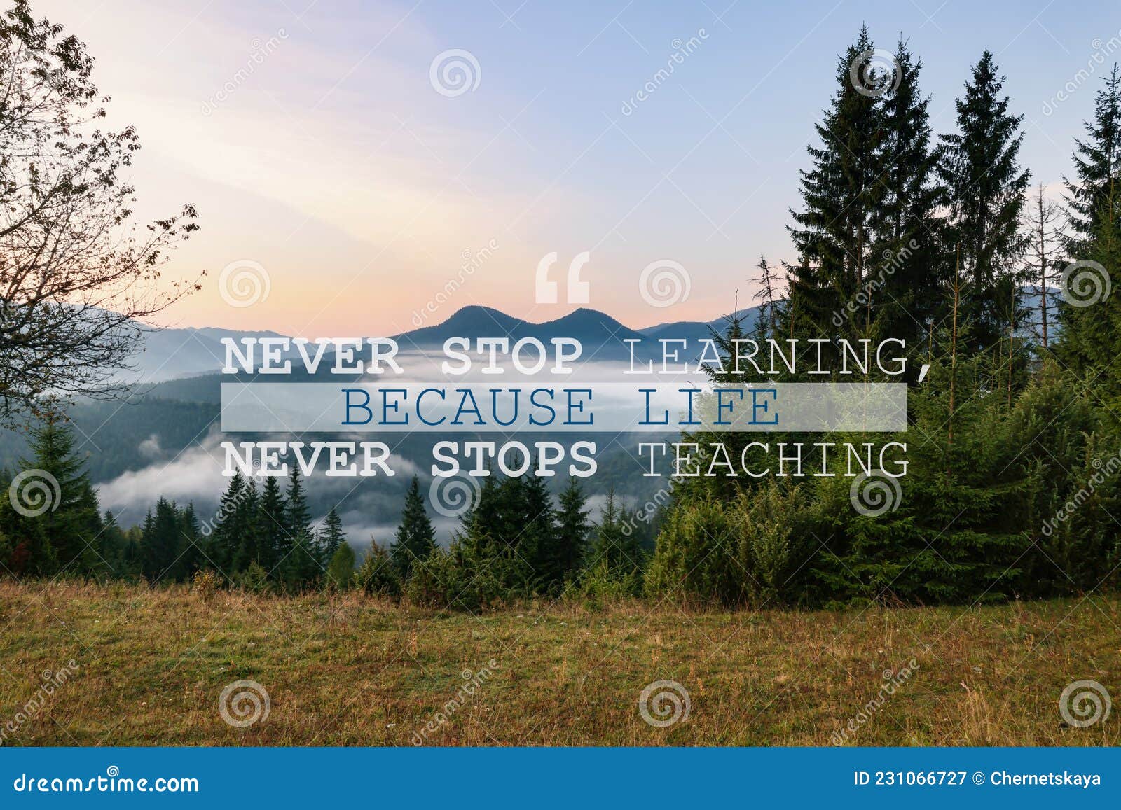 Never Stop Learning, because Life Never Stops Teaching. Motivational ...