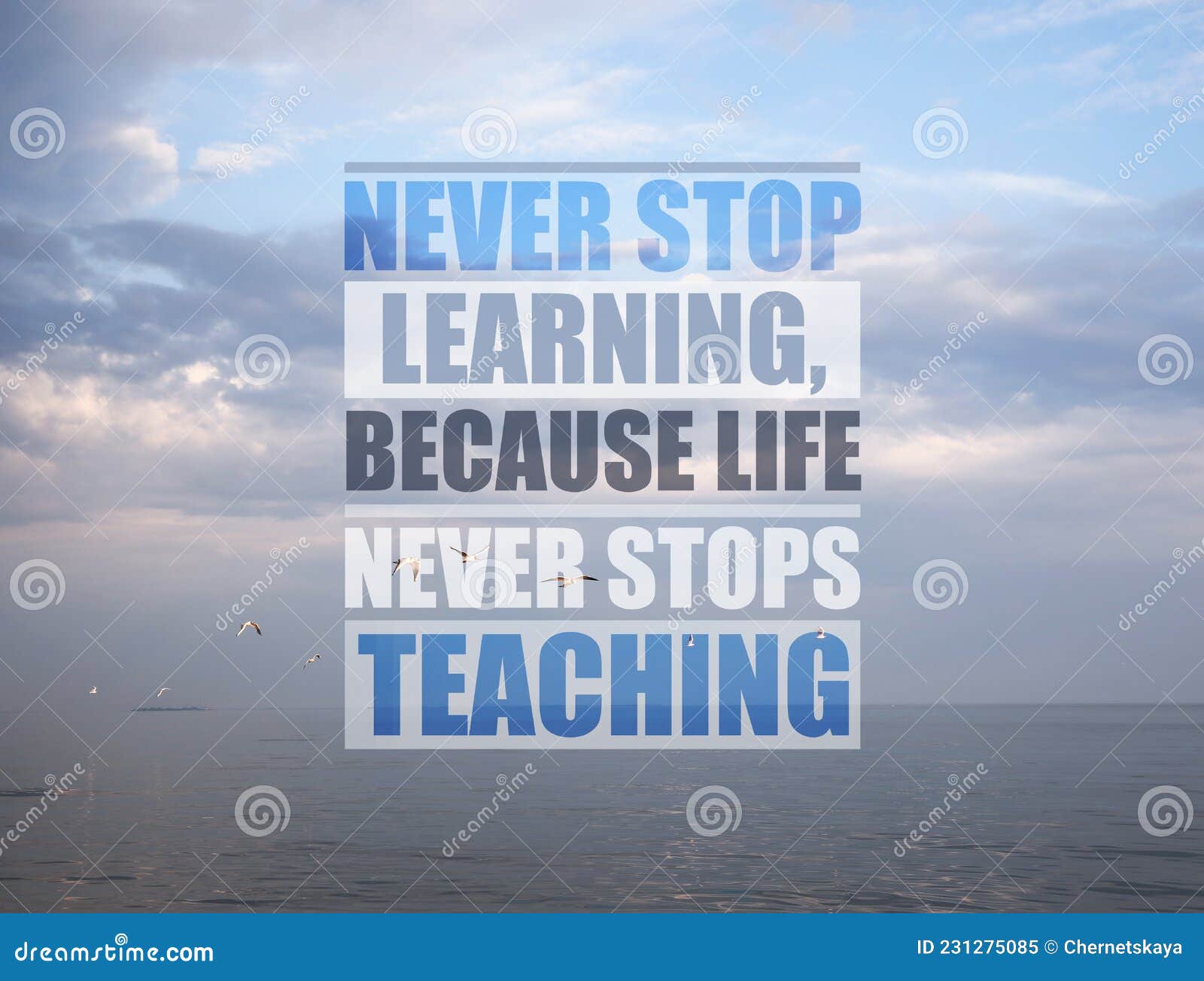 Never Stop Learning, because Life Never Stops Teaching. Motivational ...