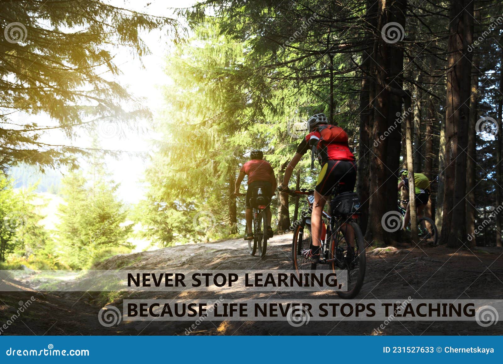 Never Stop Learning, because Life Never Stops Teaching. Motivational ...