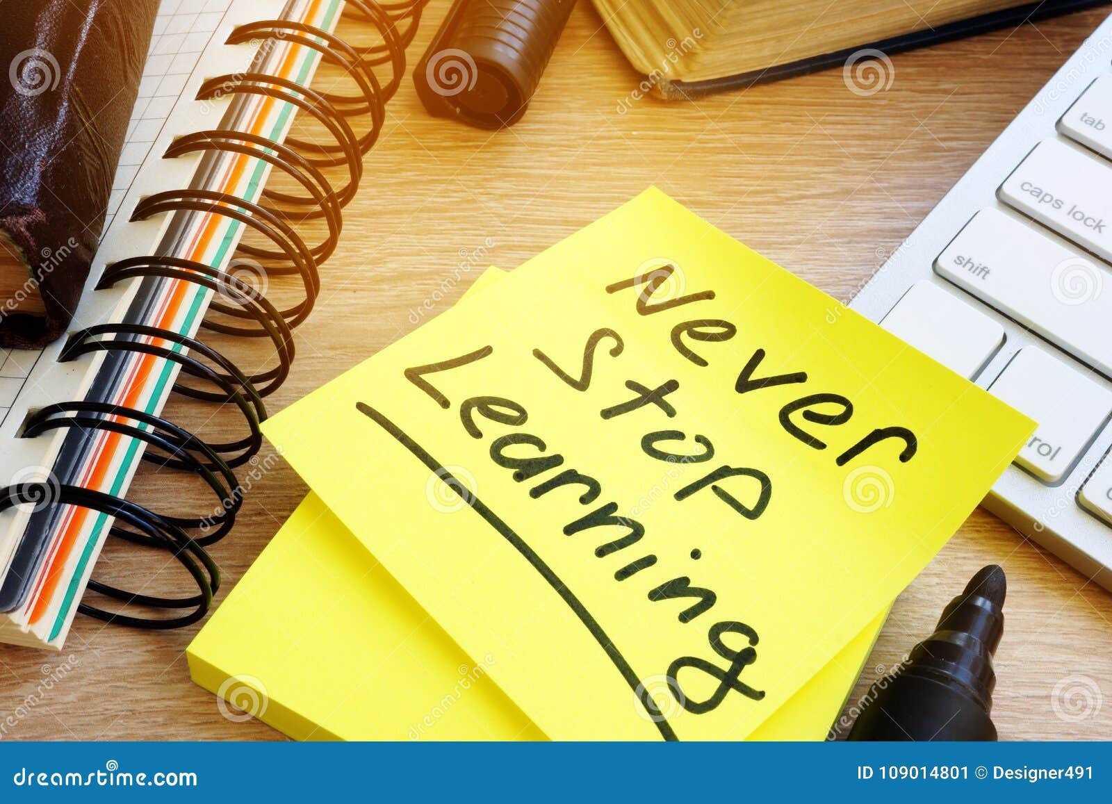 Never Stop Learning Written on a Stick. Lifelong Learning Concept ...