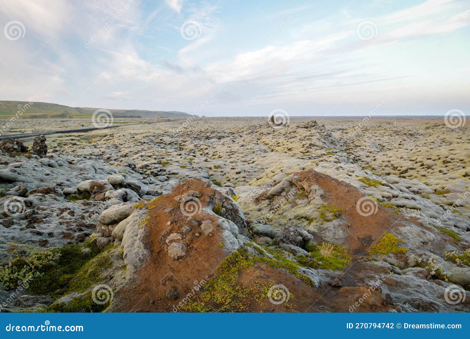 Neverending Lava Fields in Eldhraun in Iceland Stock Photo - Image of ...