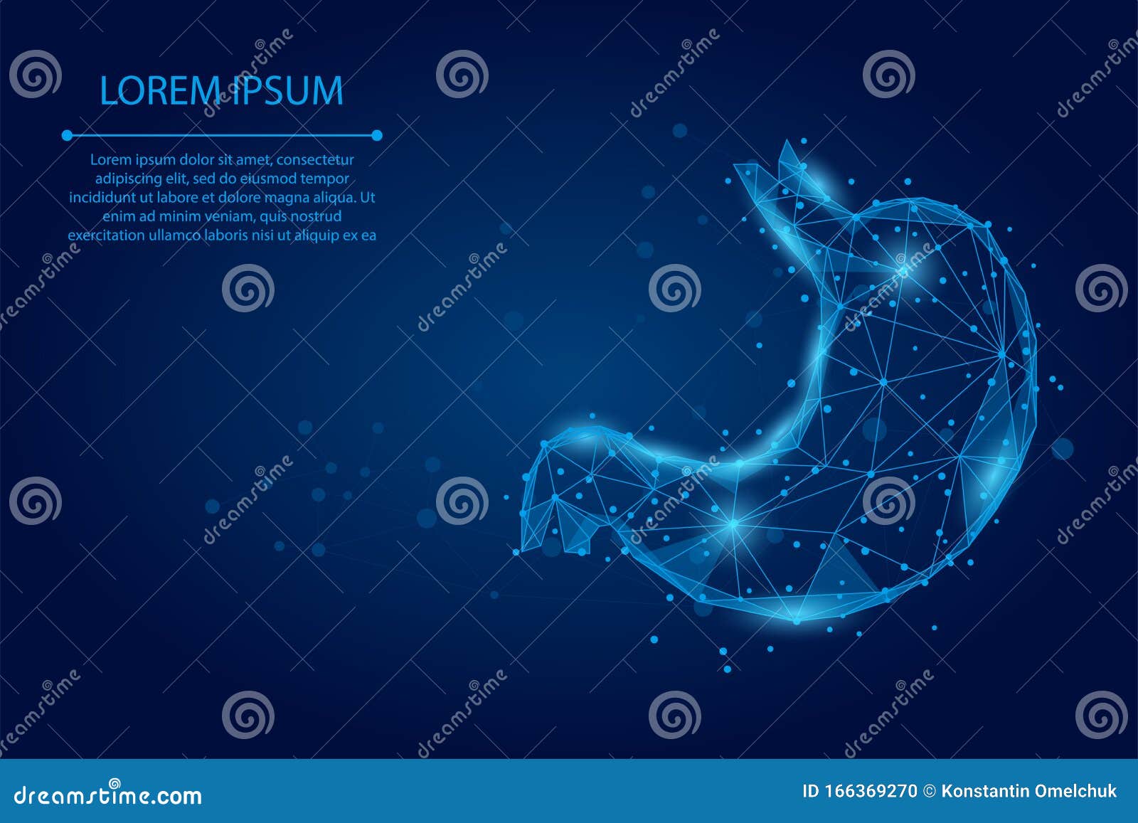 Human Healthy Stomach. Internal Digestion Organ. Low Poly Connected ...