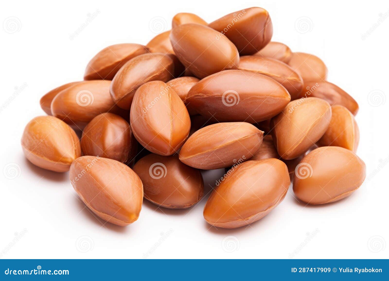New Argan Seeds. Generate Ai Stock Illustration - Illustration of ...